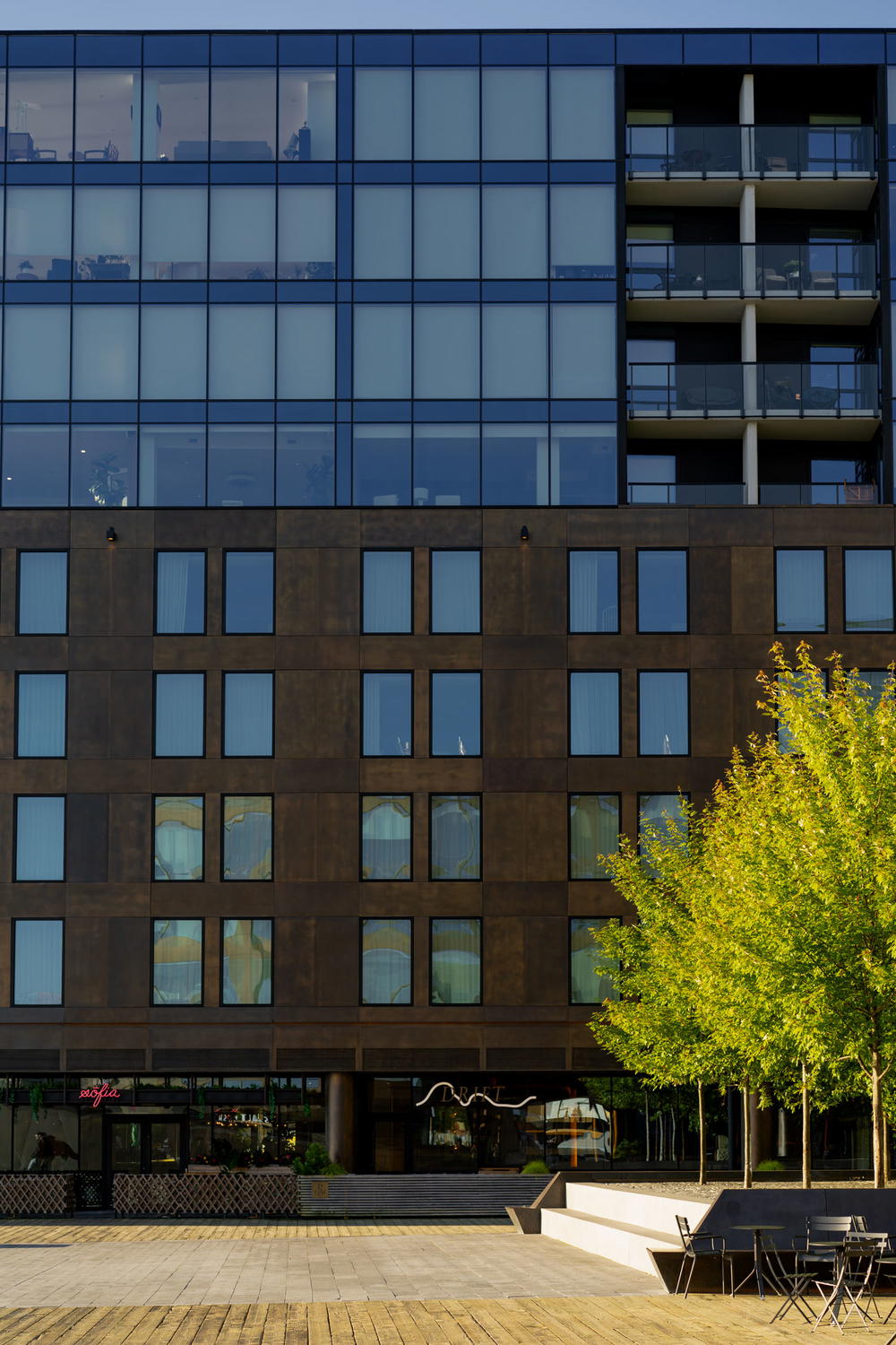 Muir Hotel Review: a Coastal Luxury Stay in Halifax