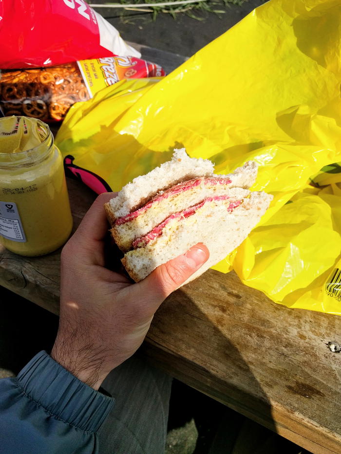 How to Travel Around Iceland on a Budget (Savvy Travel Guide)