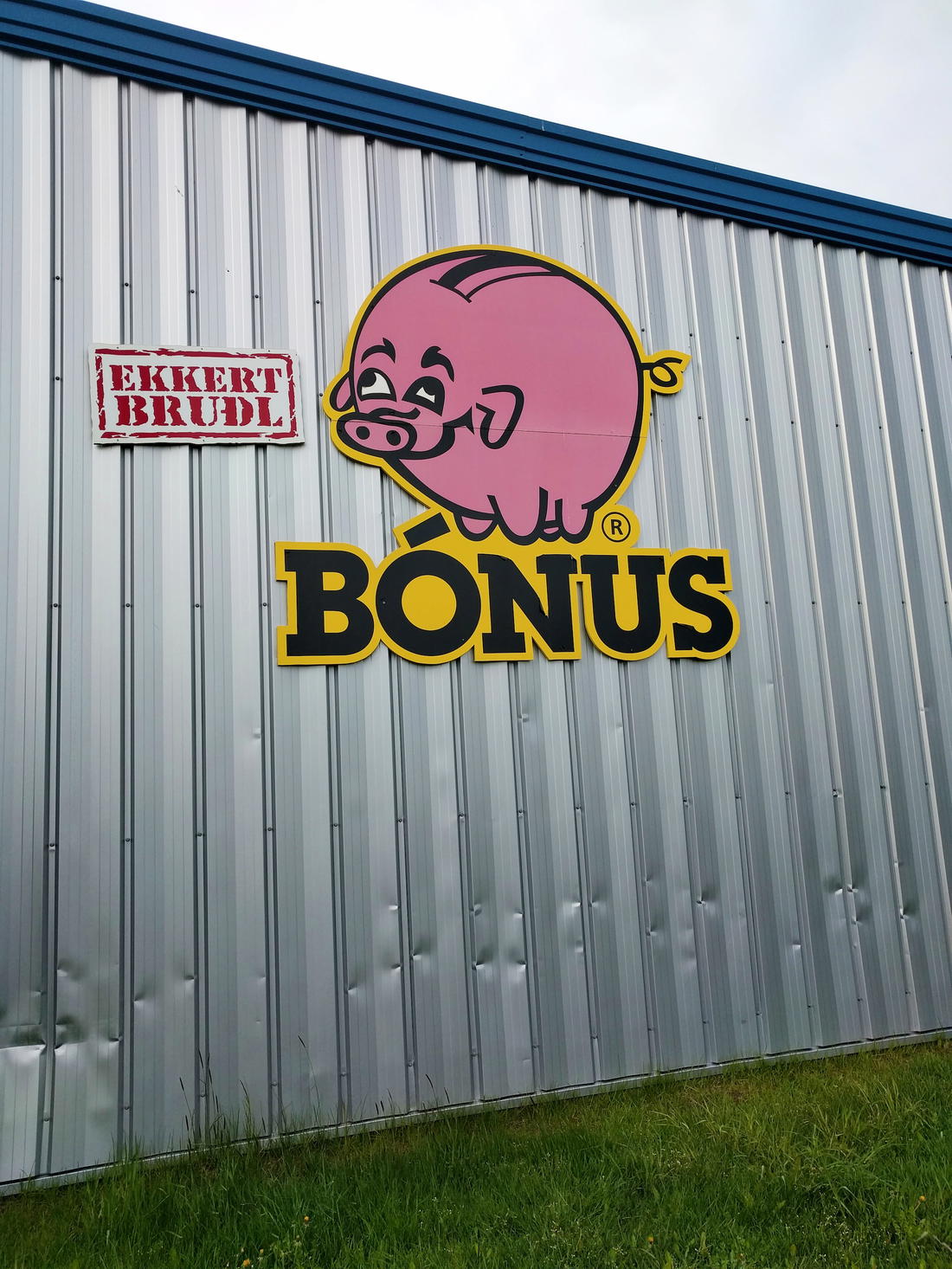 How to Travel Around Iceland on a Budget (Savvy Travel Guide)