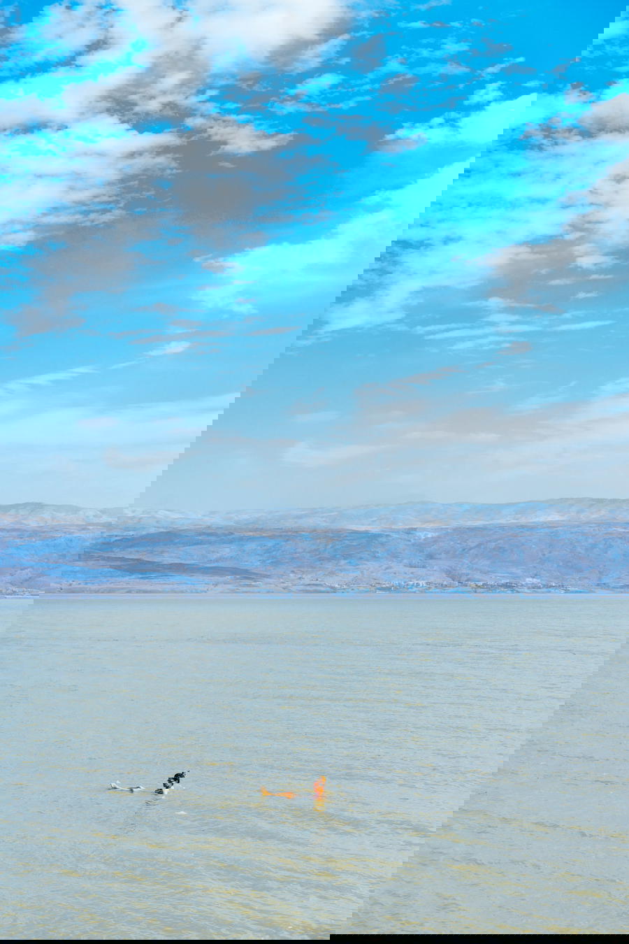 Floating in the Dead Sea with Tourist Israel