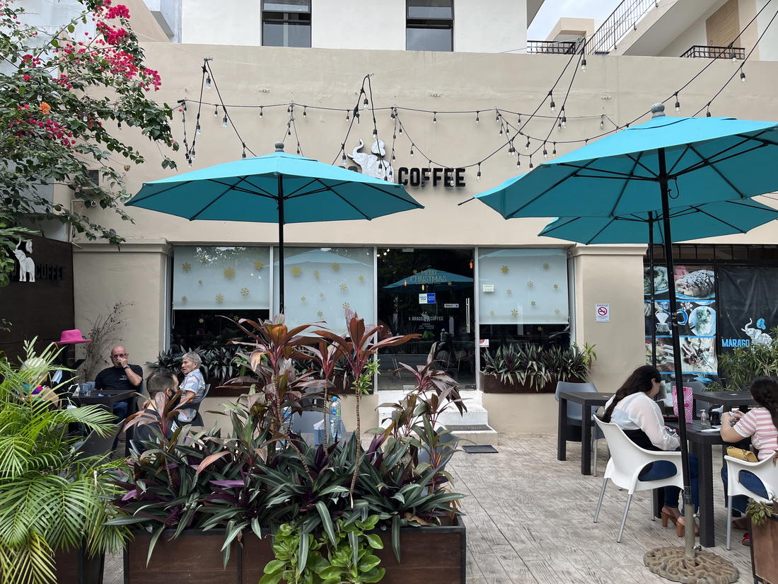 23 Best Cafes & Coffee Shops in Merida (Digital Nomad Guide)