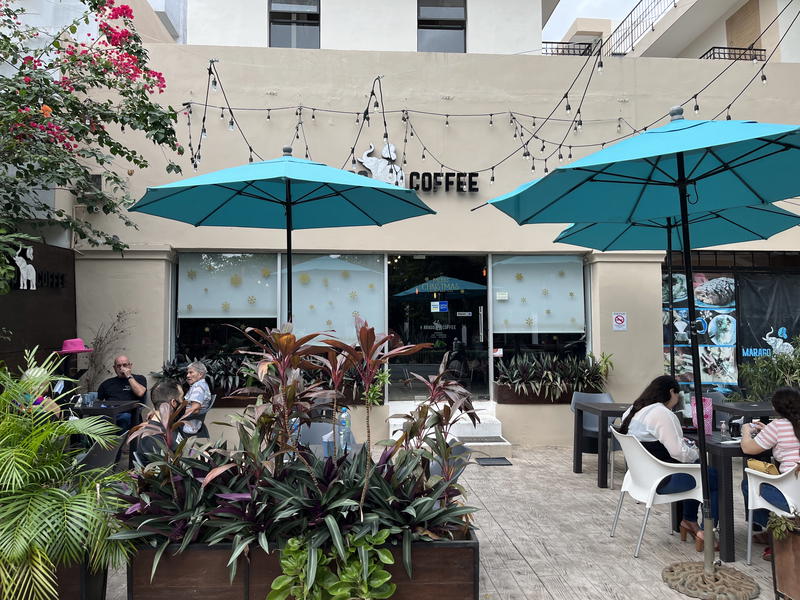 23 Best Cafes & Coffee Shops in Merida (Digital Nomad Guide)