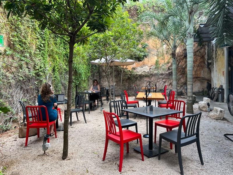 23 Best Cafes & Coffee Shops in Merida (Digital Nomad Guide)