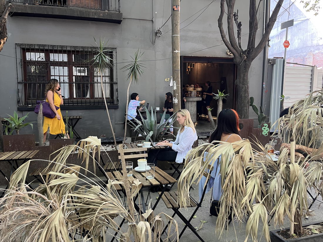 24 of the Best Mexico City Cafes Worth Visiting