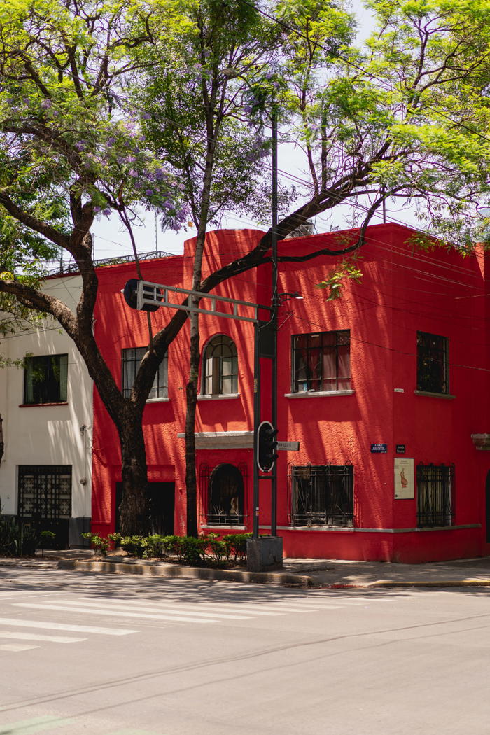Photos of a Day in the Condesa Neighborhood of Mexico City