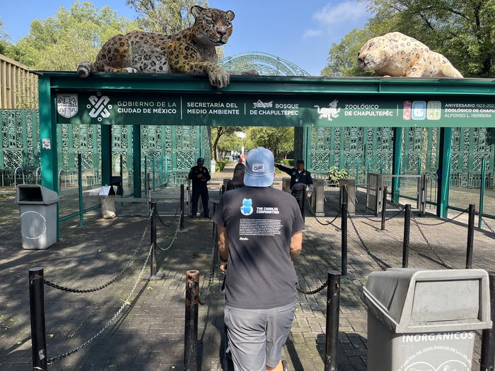 Mexico City with a Baby, Toddler or Kids: Travel Tips for Your Trip