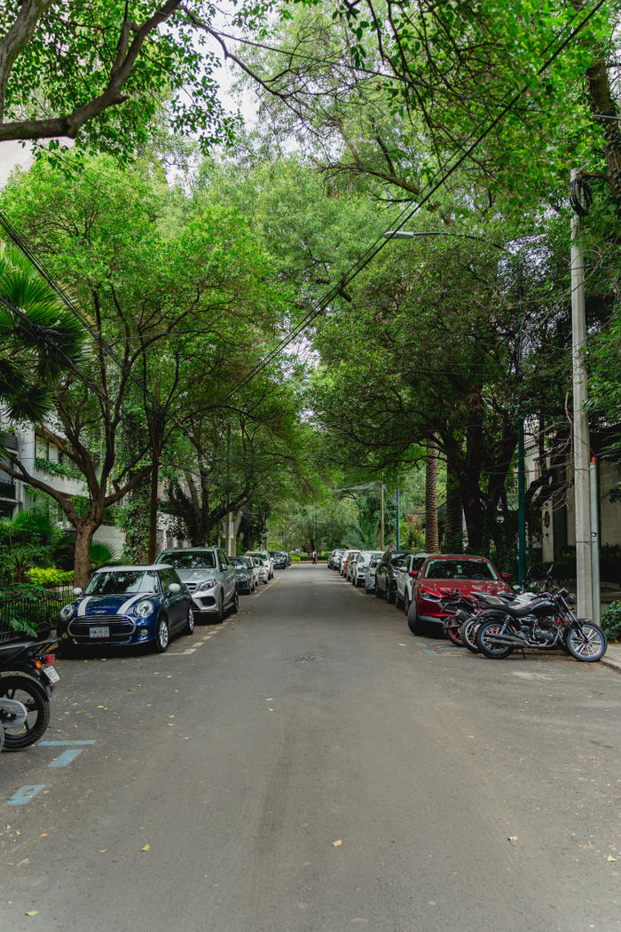 Photos of Polanco, Mexico City’s Upscale Enclave