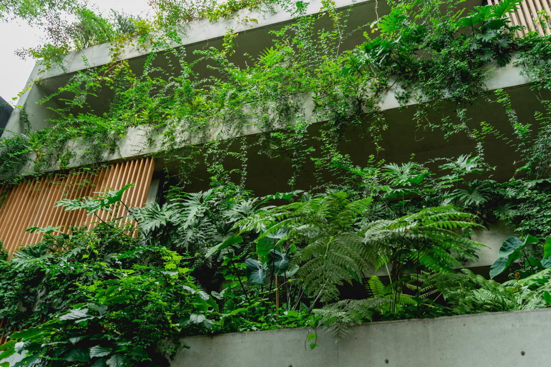 Photos of Polanco, Mexico City’s Upscale Enclave