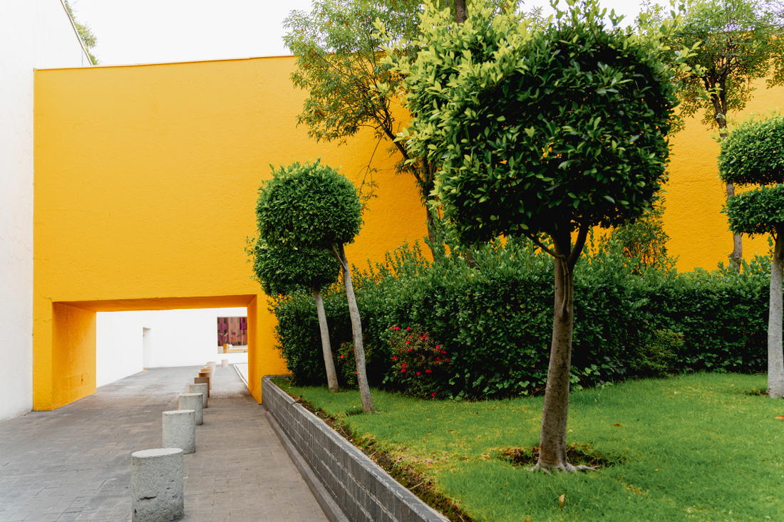 Photos of Polanco, Mexico City’s Upscale Enclave