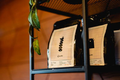 Quentin Cafe, Mexico City | A Unique Coffee Story (Review)