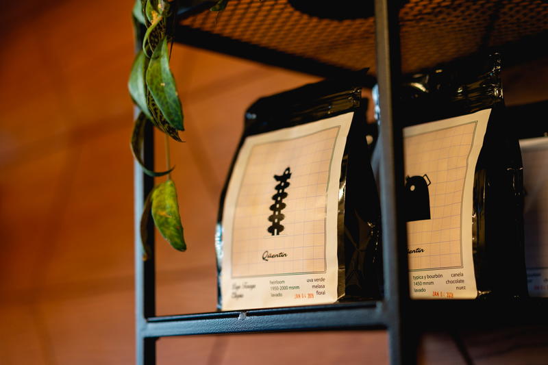 Quentin Cafe, Mexico City | A Unique Coffee Story (Review)