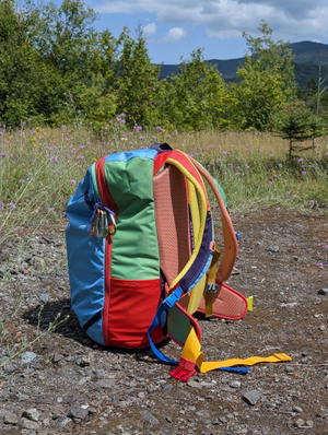 Cotopaxi All-New Allpa 42L Review: Multicolor Travel Pack Perfection?