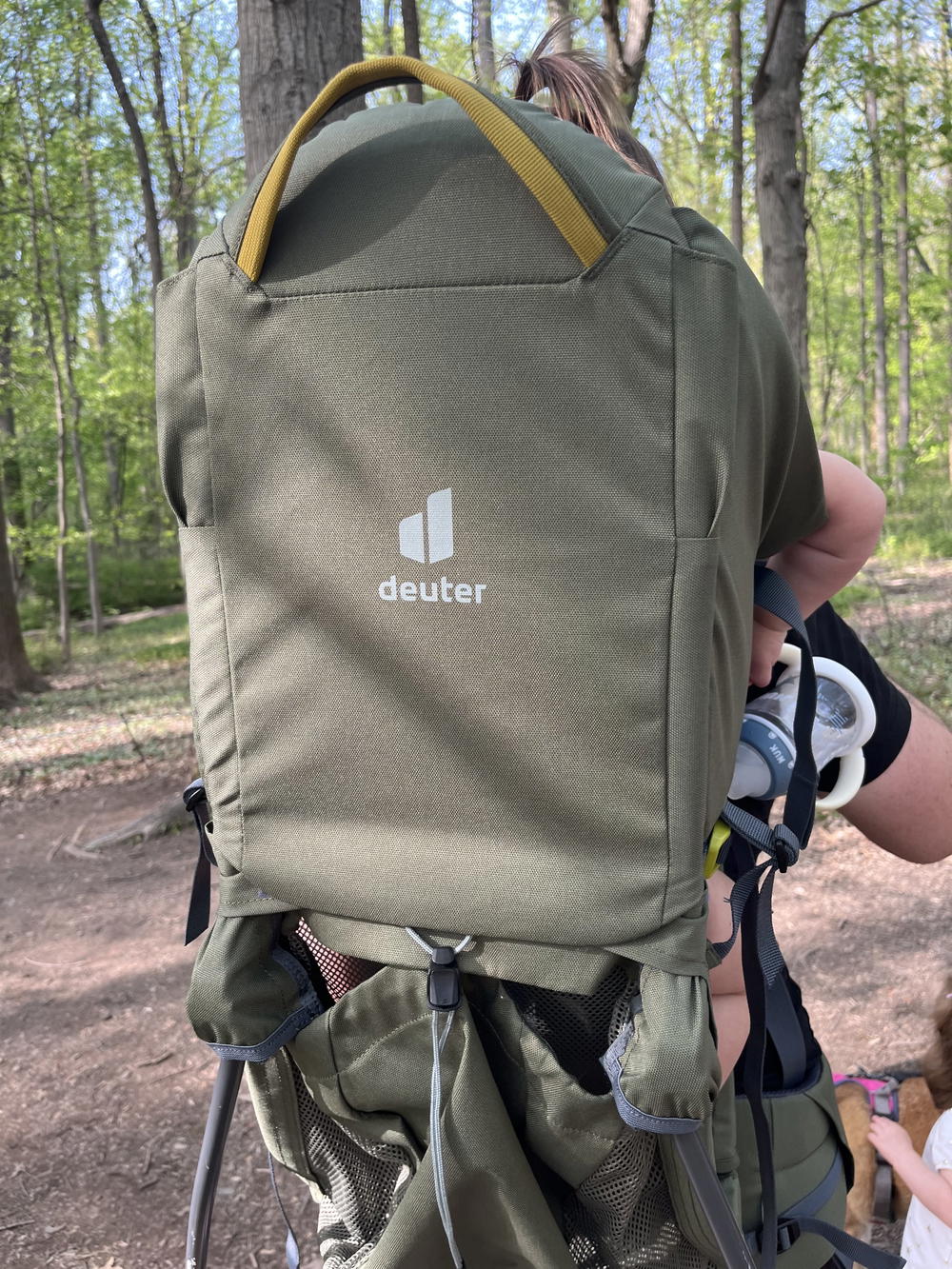 Deuter Kid Comfort Child Hiking Carrier Review (Our Thoughts)
