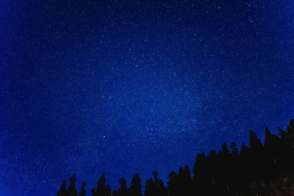 Everything You Need to Know About Night Photography