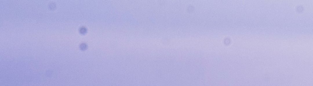 How to Clean Your Mirrorless Camera Sensor (Full Guide)