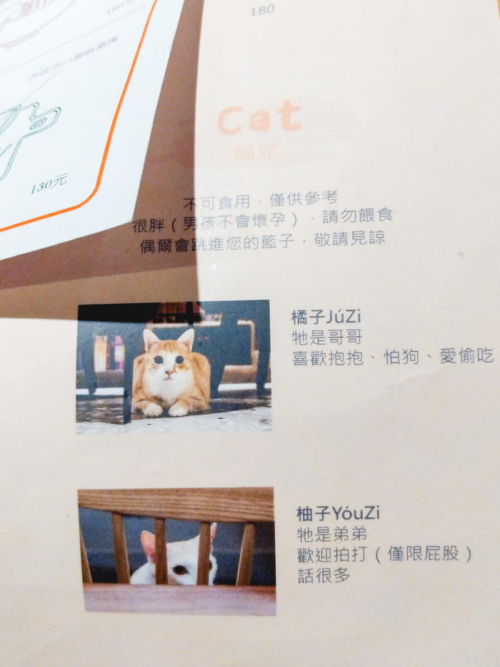 26 Best Cafes In Taipei Worth Visiting