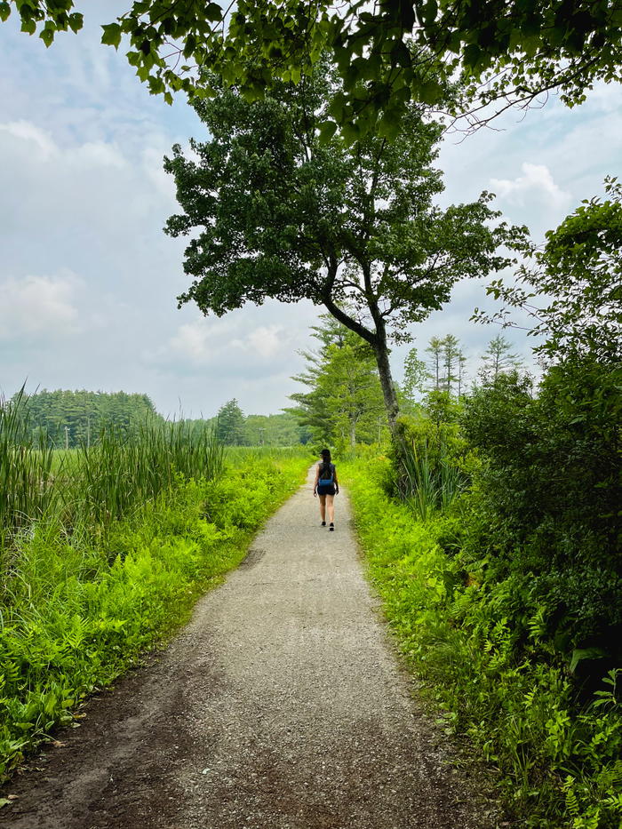 Litchfield County Travel Guide: Nature, Dining and Small Town Charm