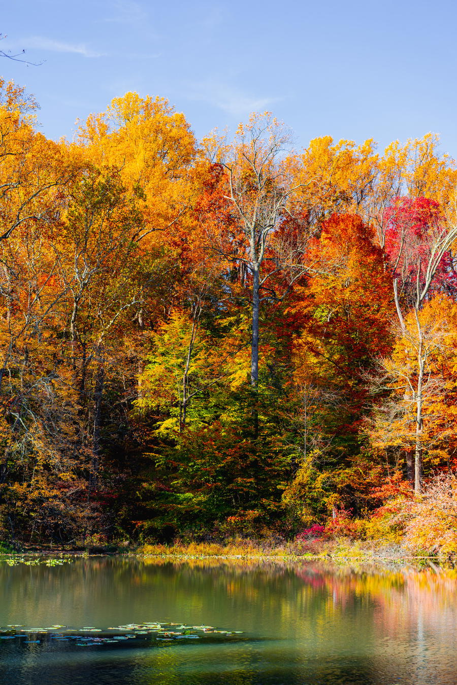 Photos Gallery: The Best of Fall Foliage at NJ Nature Reservations