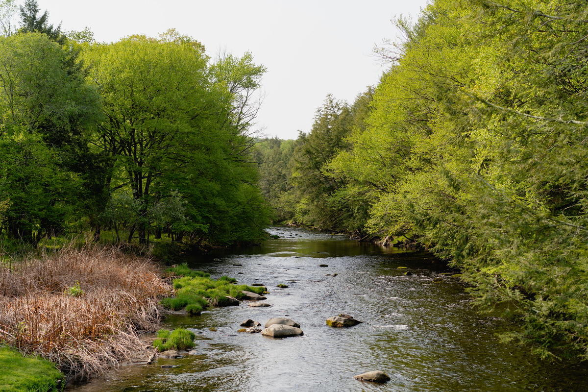 Antrim Streamside Review: A Flawless Stay in the Catskills