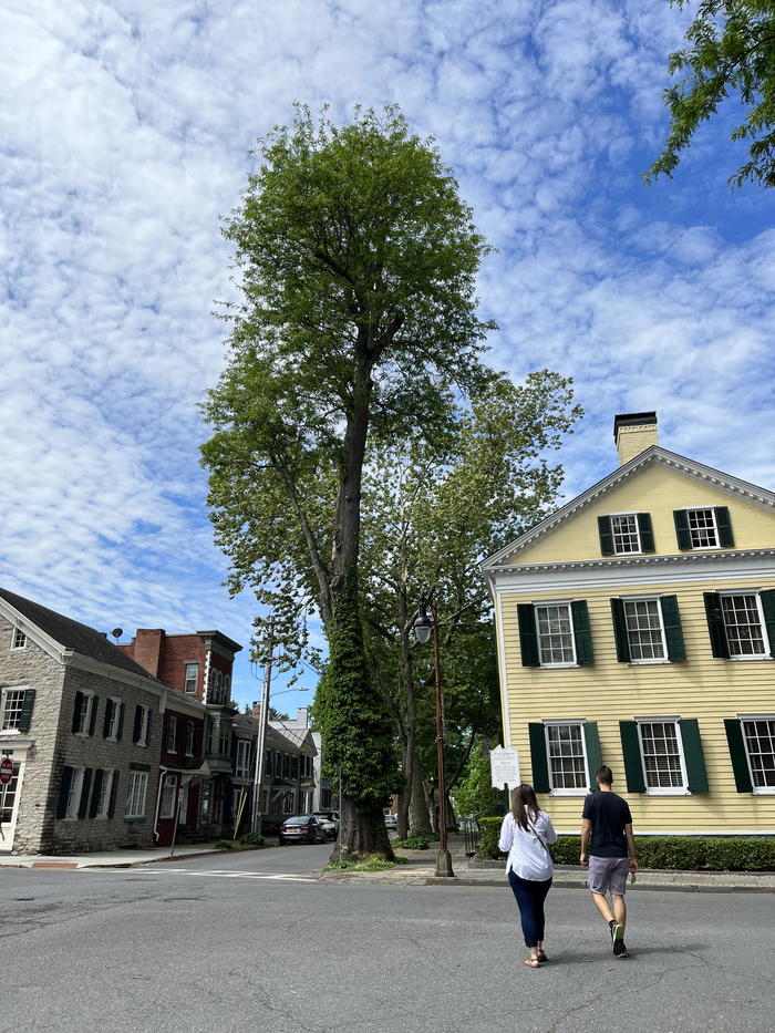 Kingston Travel Guide: the Hudson Valley Town Worth Visiting